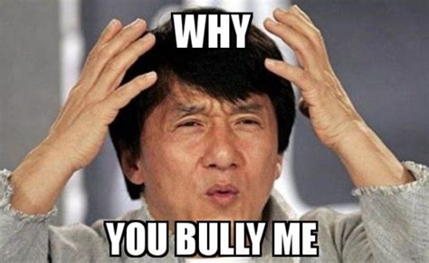 Why Are You Bullying Me An Insiders View