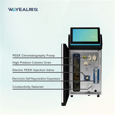 Dual System Ion Chromatography Instrument For Anions Or Cations Analysis Simultaneously