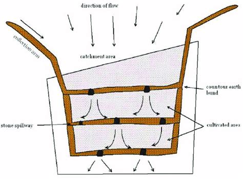 1 Sketch Of An External Catchment Runoff Farming System Design Download Scientific Diagram