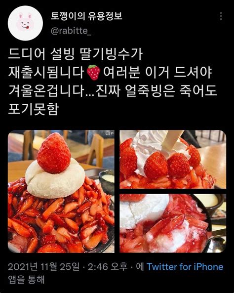 드디어 설빙 딸기빙수 재출시 인스티즈 Instiz 인티포털