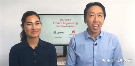 吴恩达老师的《提示词工程师》课程总结 知乎