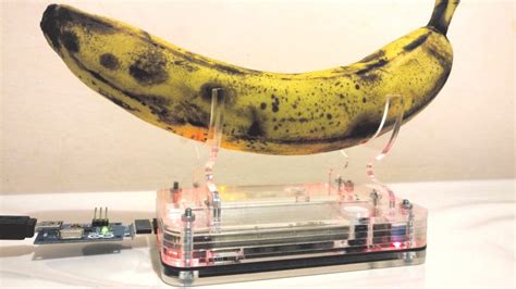 Arduino On Twitter A Banana Powered Random Number Generator Https T Co HsVaHdOVop Https