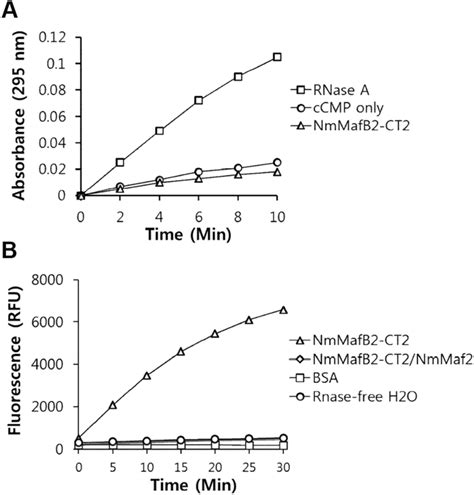 Enzymatic Assay Of Nmmafb2 Ct2 In Vitro A Phosphodiester Hydrolysis Download Scientific