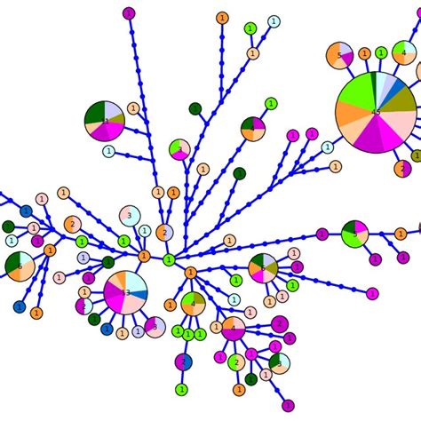 Haplotype Network Of Control Region From Semaprochilodus Insignis