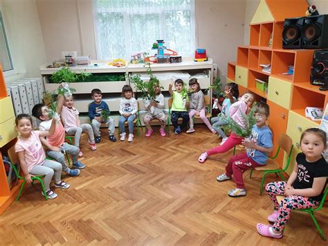 Екологичното възпитание в предучилищна възраст е своеобразен организиран процес на педагогическо