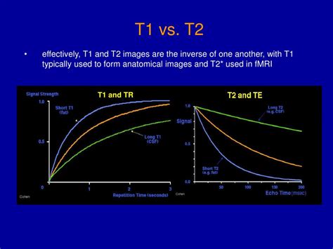 PPT Introduction To FMRI Physics For Dummies Like Me PowerPoint Presentation ID