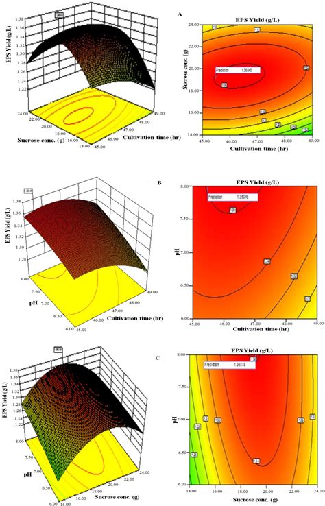 Production Of Exopolysaccharide By Strains Of Lactobacillus Plantarum Yo175 And Of101 Isolated