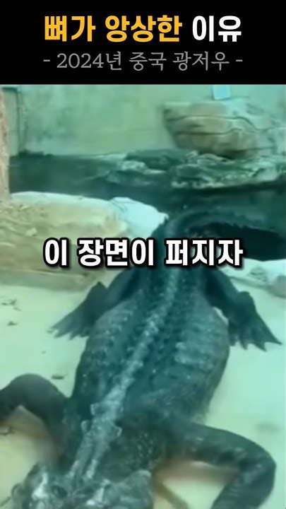 뼈만 앙상한 이유 Youtube