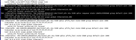 Subinterface Subport Error Switch Crashing · Issue 714 · Sonic