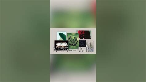 Code A Stunning Mouse Move Animation With 3d Perspective Youtube