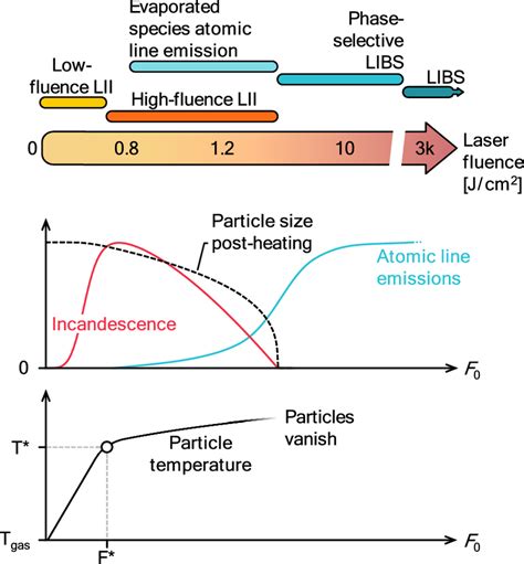 schematic demonstrating the typical progression of the lii and libs