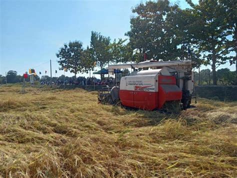 ပန်းတောင်းမြို့နယ် ပဲကြီးကျေးရွာတွင် ၀ ၁၀ ဧက မိုးစပါးစံကွက်ရိတ်သိမ်းပွဲကျင်းပ Information And