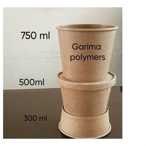 300ml Brown Kraft Paper Food Container At Rs 45piece In New Delhi