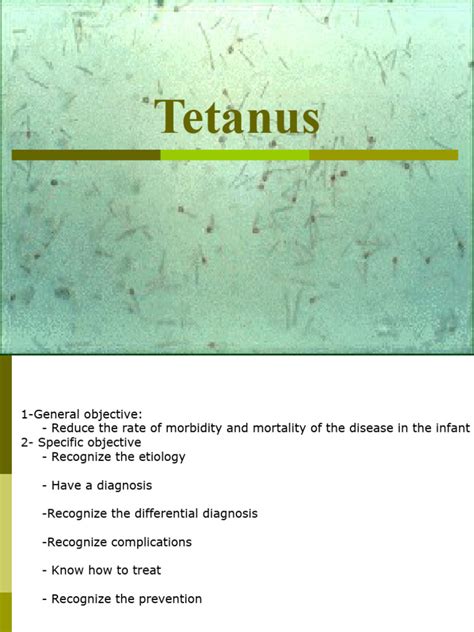 Tetanus M Pdf Microbiology Medical Specialties