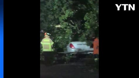 강풍에 쓰러진 나무 주차된 차들 덮쳐일부 파손 Ytn Youtube