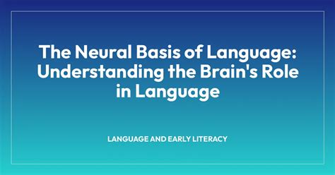 The Neural Basis Of Language Understanding The Brains Role In