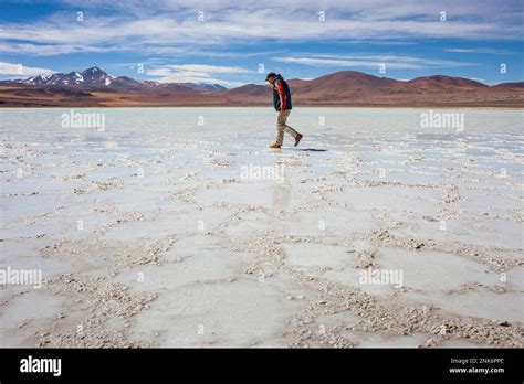 Salt Formations In Salar Salt Flats Or Laguna Lagoon De Tuyaito