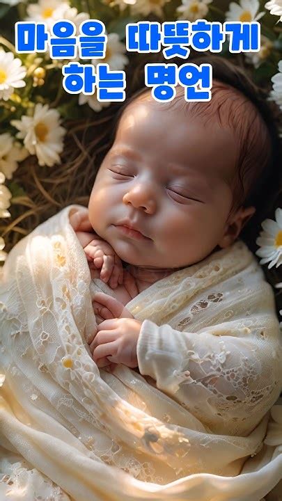 마음을 따뜻하게 하는 명언 교육 긍정의말 좋은글 긍정적마인드 긍정의한줄 인생조언 마음의소리로쓰는글 지혜 멋진글귀 Youtube