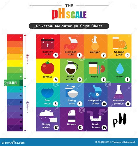 The PH Scale Universal Indicator PH Color Chart Diagram Stock Vector