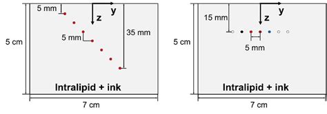 Cross Sectional View Of Phantom Inclusion Geometry For The Penetration Download Scientific