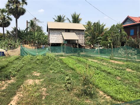 Adaptation Fund Accredits UNIDO As Its 52nd Implementing Entity To
