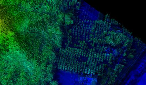 Lidar Vs Photogrammetry The Ultimate Showdown For 3d Mapping 2025