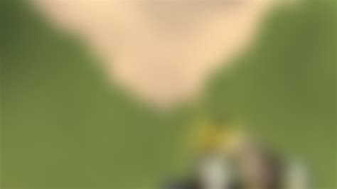 What Is This Grass Texture Bug Rgmod