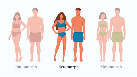 What Is The Ectomorph Body Type The Complete Guide