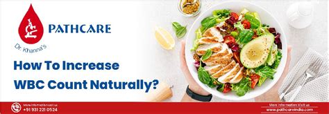 Wbc Count And Its Normal Range How To Increase Wbc Naturally Path Care