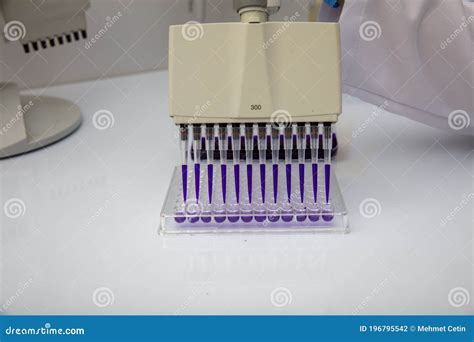 Multi Channel Pipette Loading Biological Samples In Microplate For Test In The Laboratory