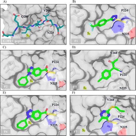 Figure 1 From Discovery Of Wd Repeat Containing Protein 5 Wdr5 Myc Inhibitors Using Fragment
