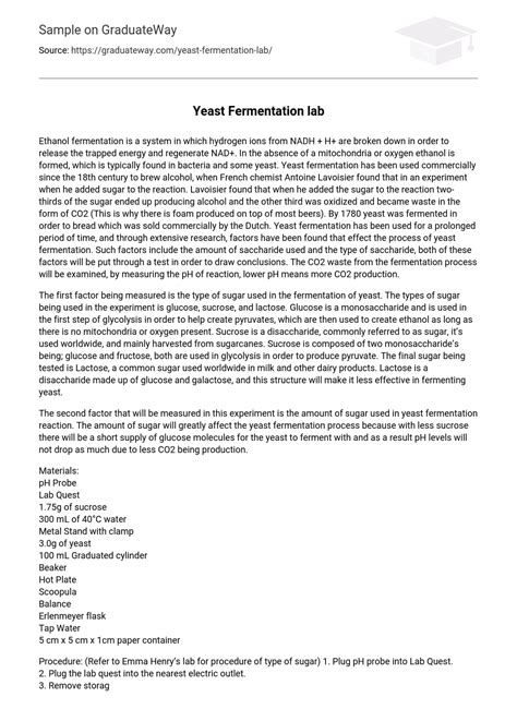 Yeast Fermentation Lab 2187 Words Free Essay Example On GraduateWay