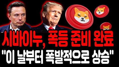시바이누코인 전망 폭등 준비 완료 이 날부터 폭발적으로 상승 합니다 시바이누시바이누코인 밈코인 시바이누 비트코인 뉴스 이더리움 Youtube