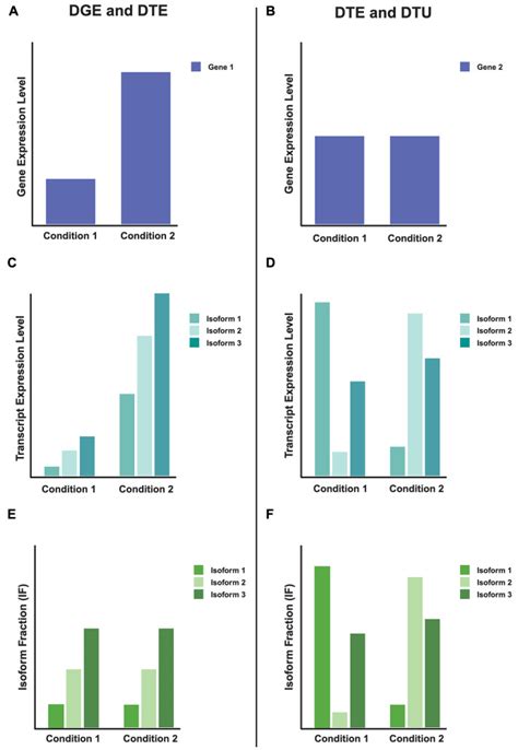 Long Read Rna Sequencing Identifies Region And Sex Specific C57bl6j