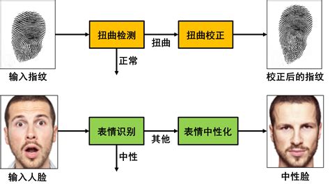 指纹识别综述4 指纹匹配指纹识别算法 Csdn博客