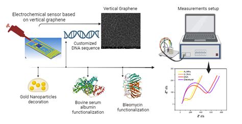 Vertical Graphene Based Electrochemical Biosensor For Detection Of