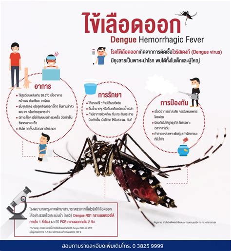 15 มิถุนายน “วันไข้เลือดออกอาเซียน” เร่งกำจัดลูกน้ำยุงลายป้องกัน 3 โรค