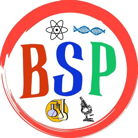 Roots What Is The Function Of Roots Types Example 2025