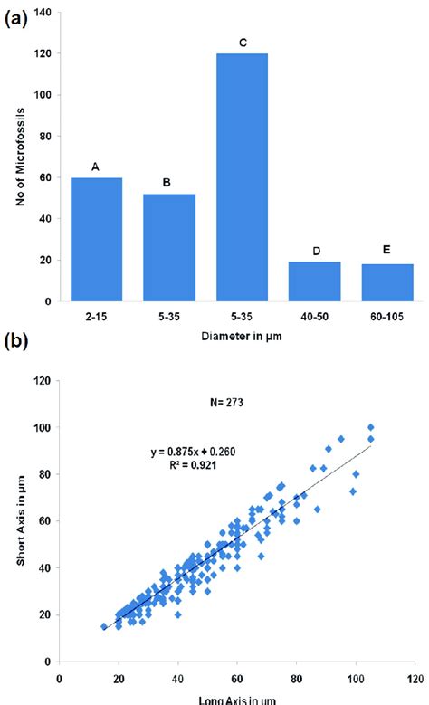 Statistical Data Representation Of Microfossils Found In The Salkhan