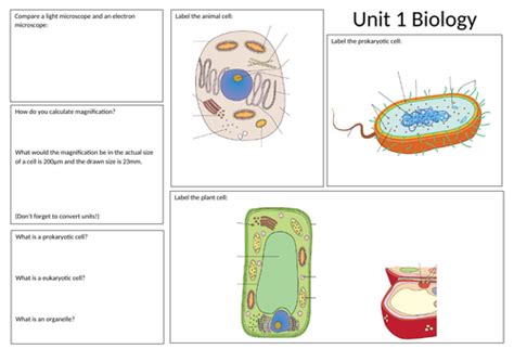 Btec L3 Applied Science Unit 1 Biology Teaching Resources