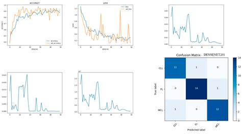 Precisionlymphonet Advancing Malignant Lymphoma Diagnosis Via Ensemble