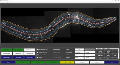 GitHub Omer1Yuval1 Neuronalyzer Neuron Tracing And Analysis