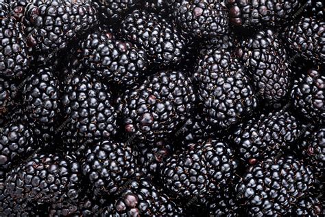 Premium Photo Blackberry Background Forest Berries Texture Full Depth Of Field Macro