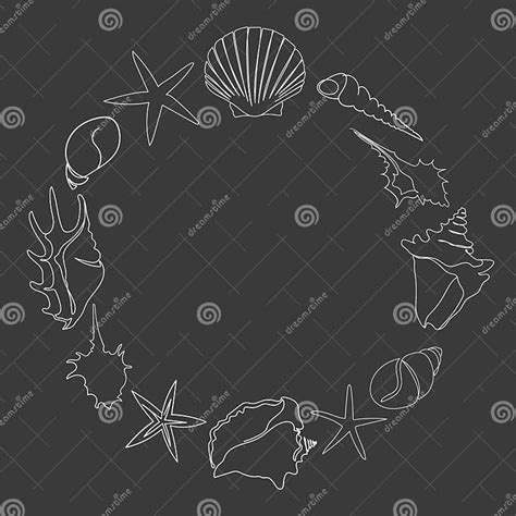 Seashell Outline Frame Vector With Chalk On A Black Board One Line Drawing Of A Shell Stock