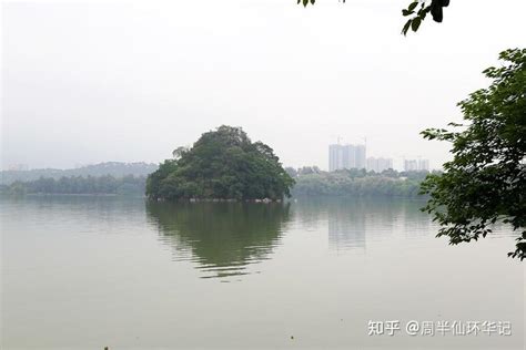 环华第189天大塘 岑溪 知乎