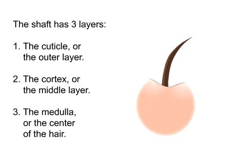 Alopecia