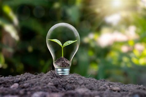 La Sostenibilità Ambientale Significato E Importanza