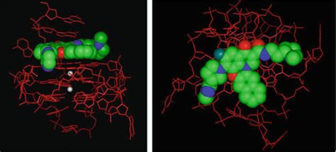 Gaining Insights Into The Small Molecule Targeting Of The G Quadruplex In The C Myc Promoter