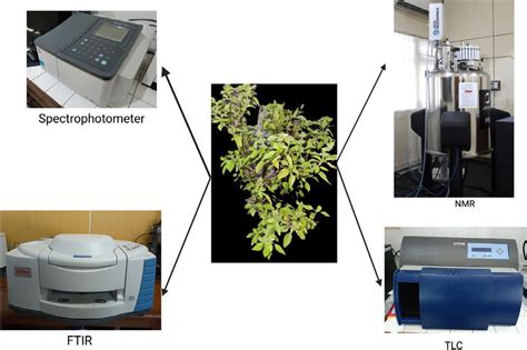 Schematic Illustration Of The Procedure Analysis Of The Phytochemical